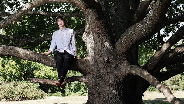 merlin-tree | книга новостей